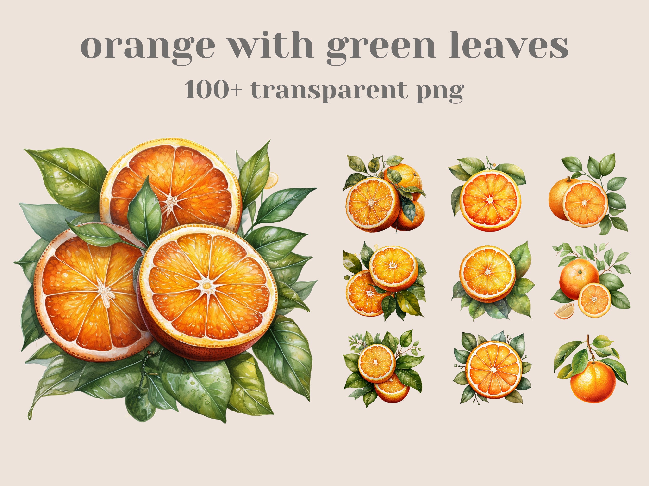 Vibrant Orange Clipart Pack, Clip Art for Commercial Use, Transparent ...