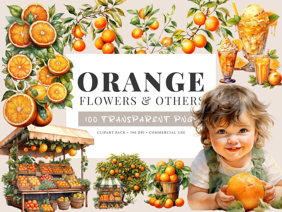 Vibrant Orange Clipart Pack, Clip Art for Commercial Use, Transparent ...