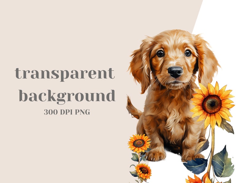 Watercolor Golden Retriever & Sunflower Clipart Pack, Clip Art for ...