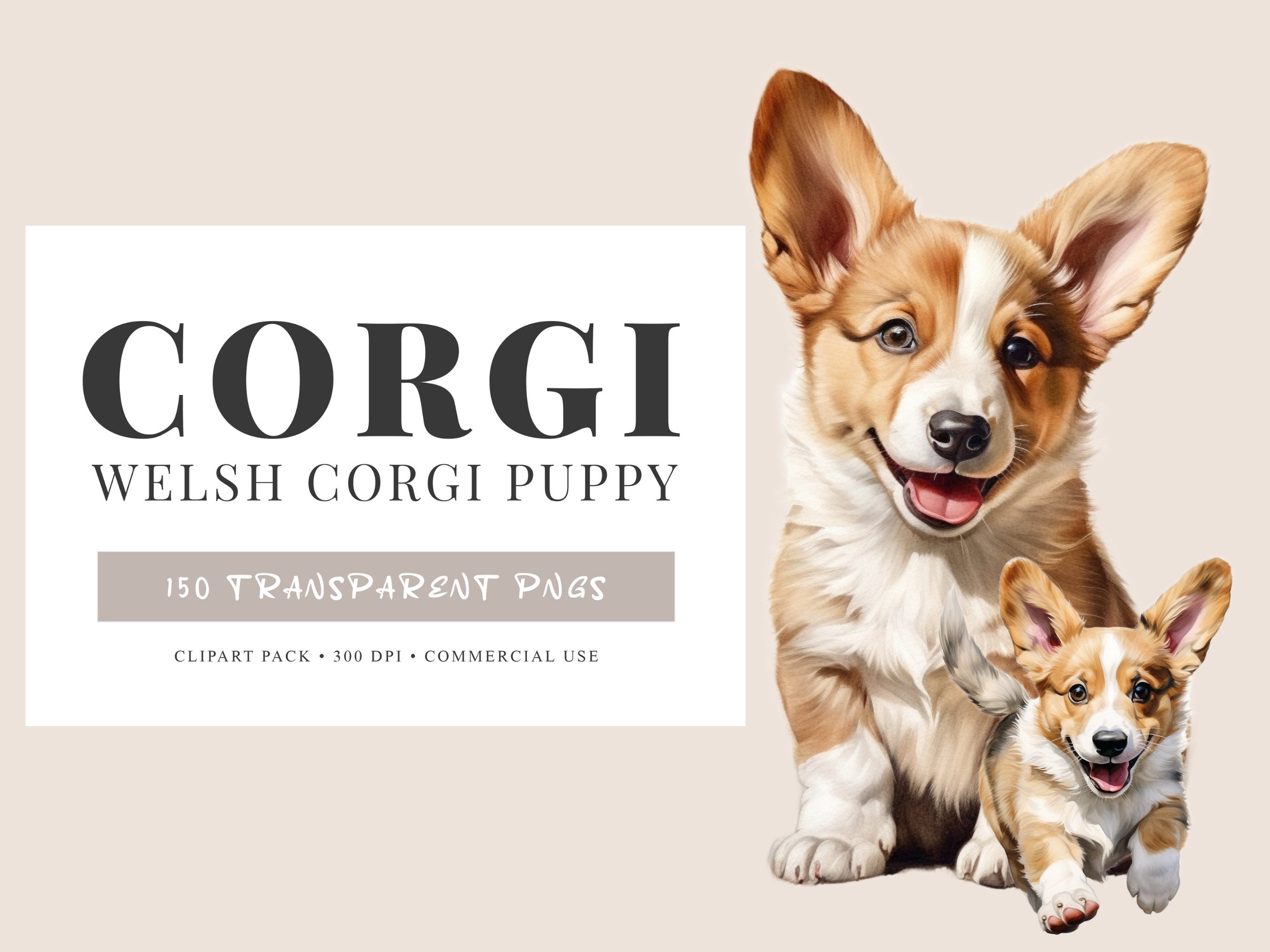 Corgi Puppy Clipart Pack, Clip Art for Commercial Use, Transparent Pngs ...