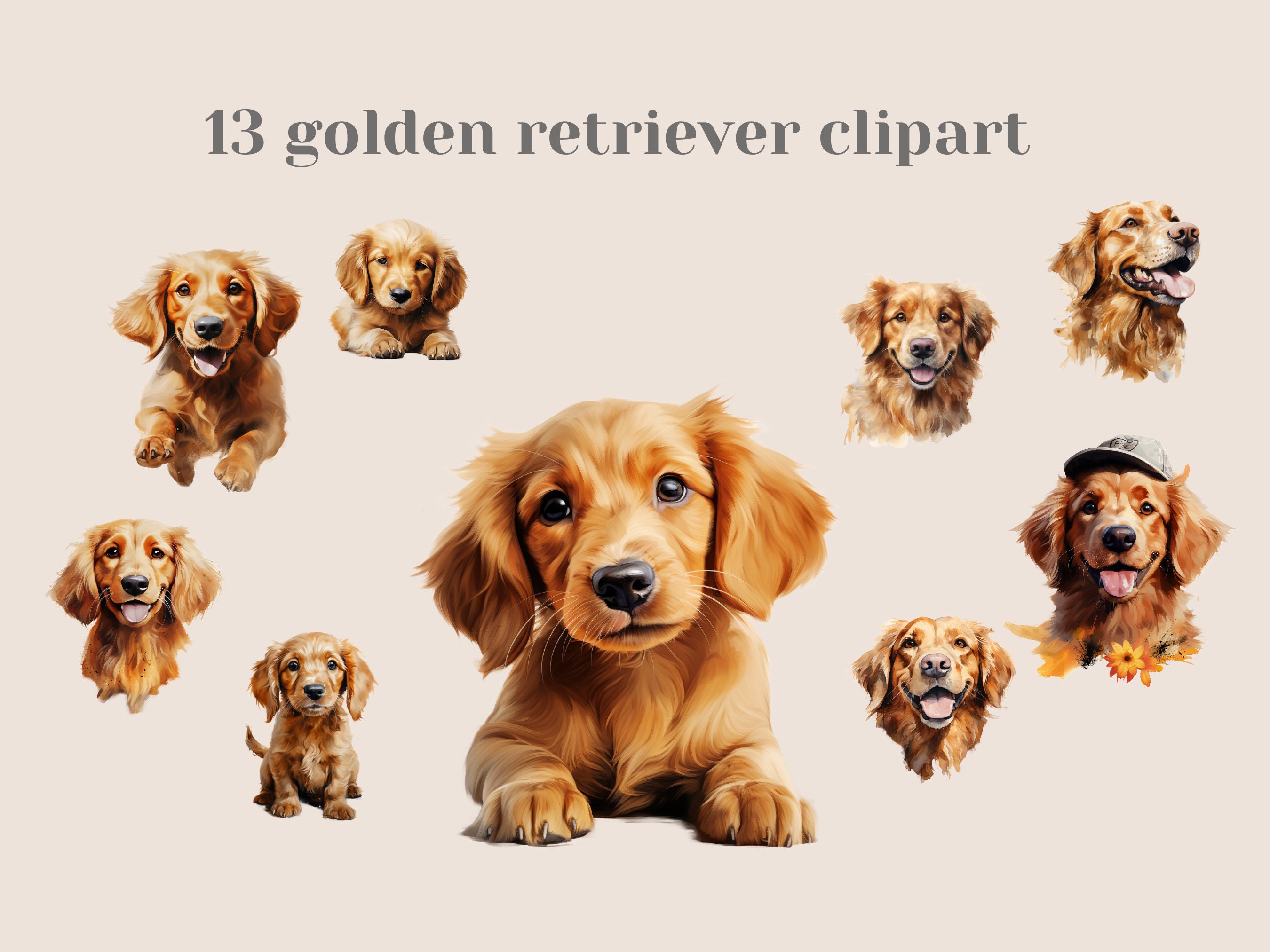 Watercolor Golden Retriever & Sunflower Clipart Pack, Clip Art for ...