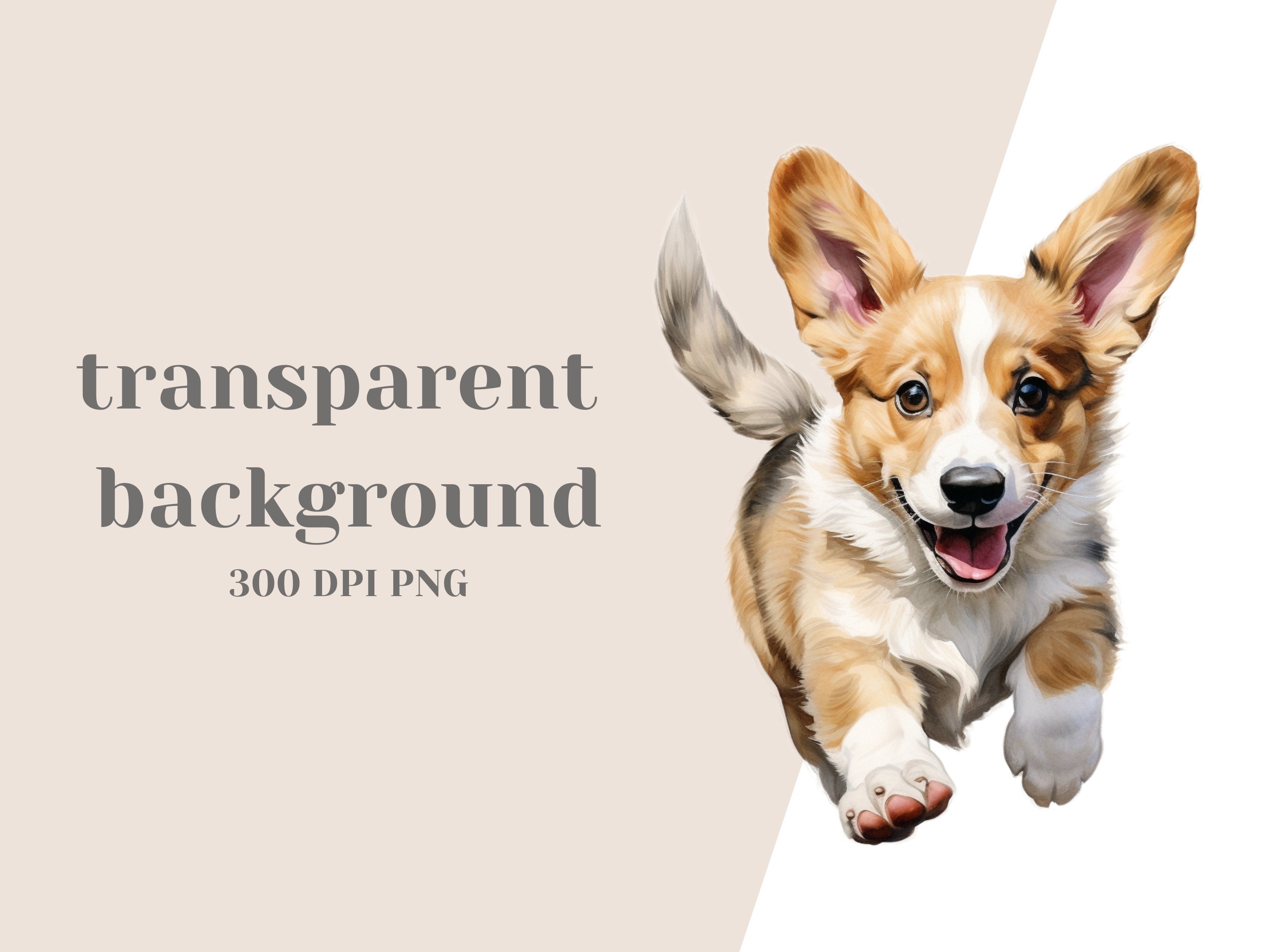 Corgi Puppy Clipart Pack, Clip Art for Commercial Use, Transparent Pngs ...