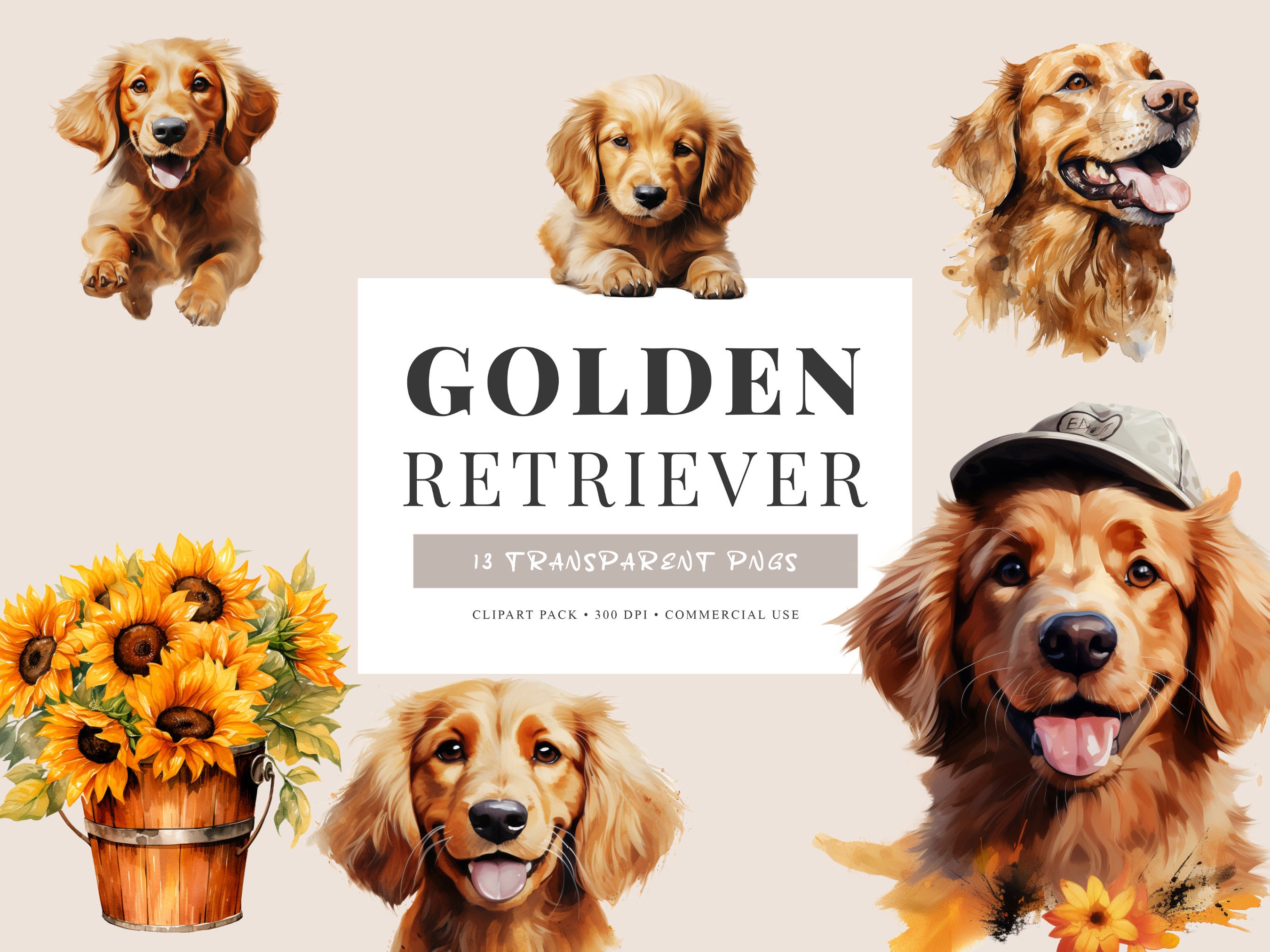 Watercolor Golden Retriever & Sunflower Clipart Pack, Clip Art for ...