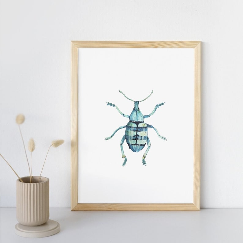 Insect Watercolor, Insects Illustration Art, Insect , Original ...