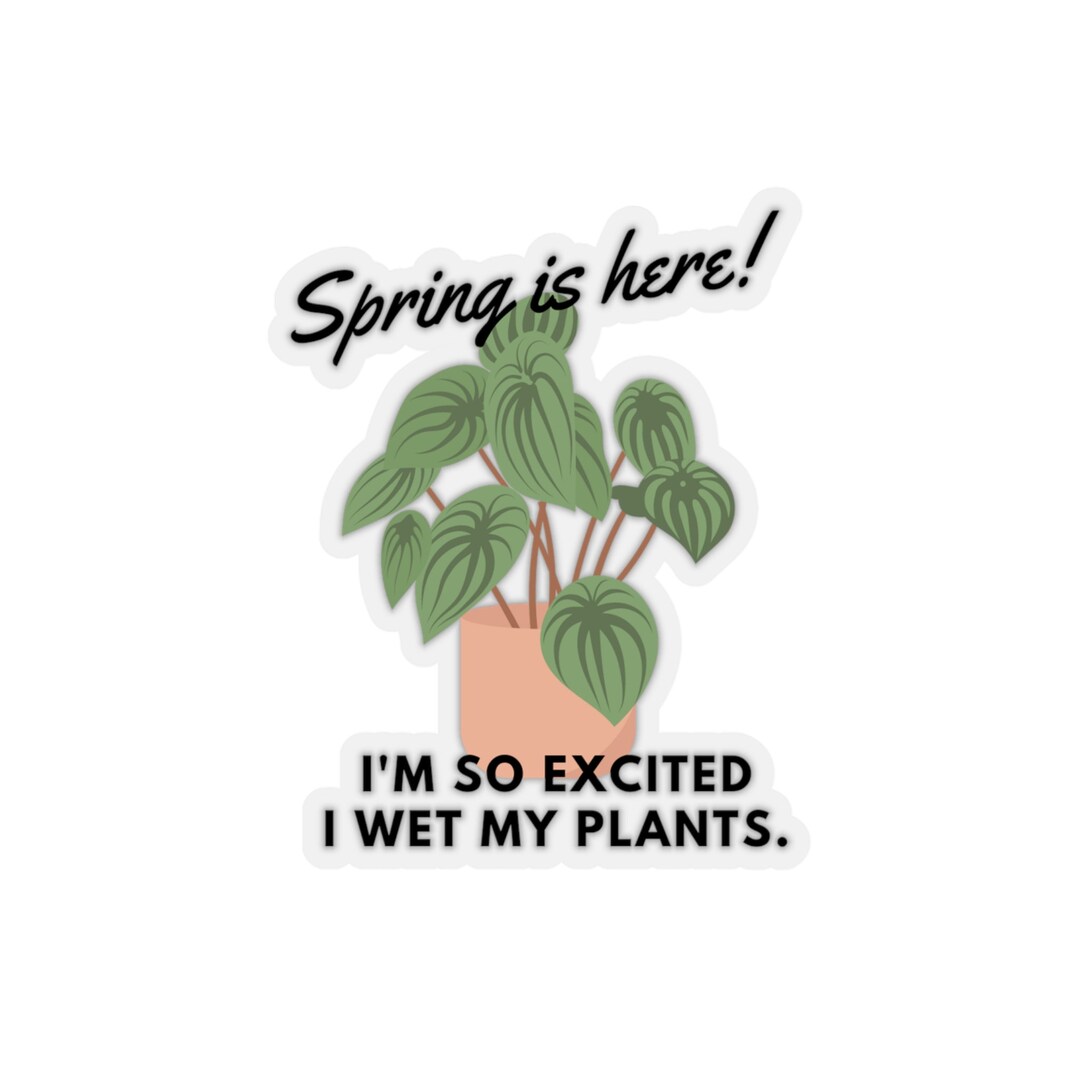 Spring is Here Sticker, Spring Decal, Computer Sticker, Water Bottle ...