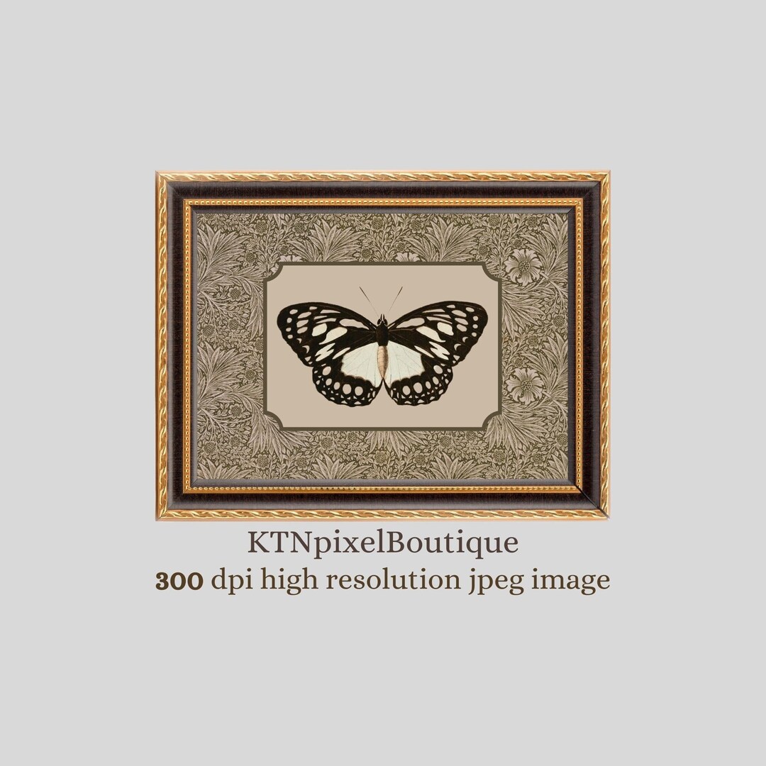 Vintage Butterfly Printable Art, Butterfly Wall Art, Butterfly Sketch ...