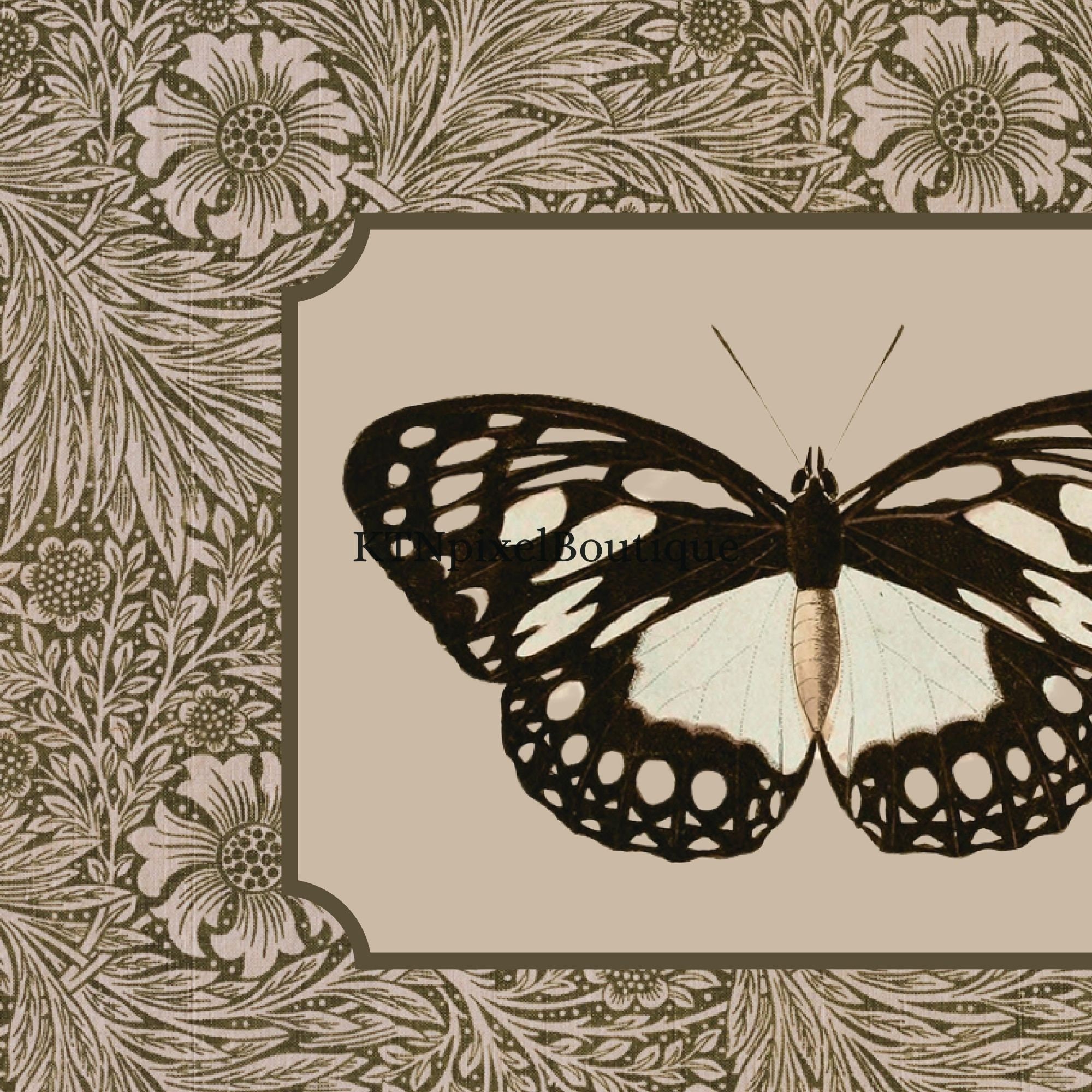 Vintage Butterfly Printable Art, Butterfly Wall Art, Butterfly Sketch ...