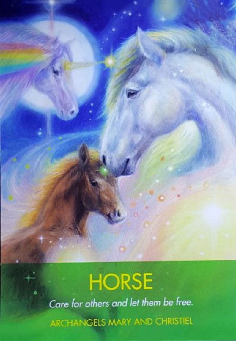 Spirit Animal Oracle Reading, What is My Spirit Animal?, Channeled ...