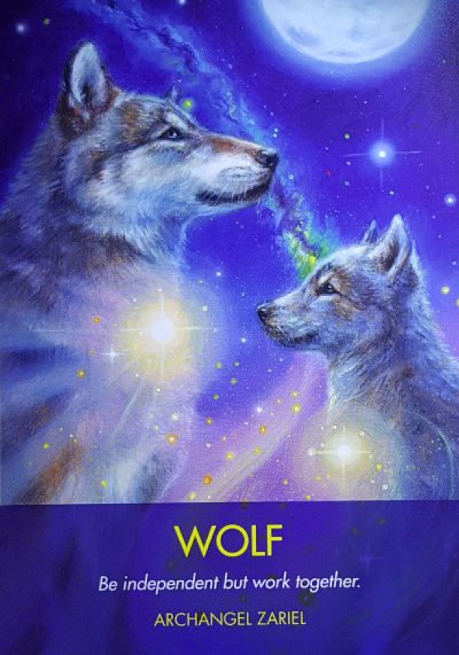 Spirit Animal Oracle Reading, What is My Spirit Animal?, Channeled ...