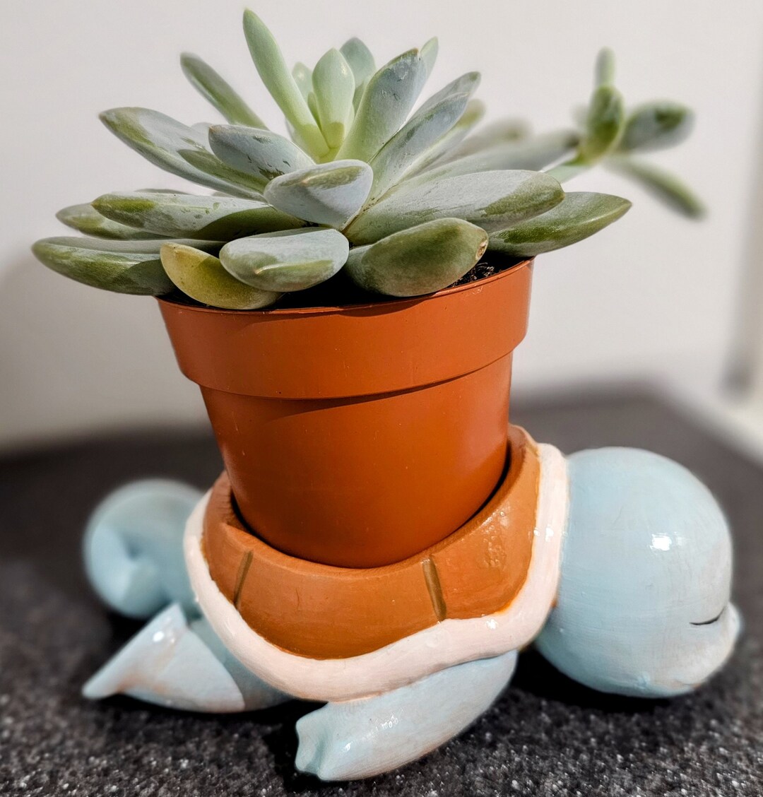 Squirtle Pokemon Succulent Plant Pot - Etsy