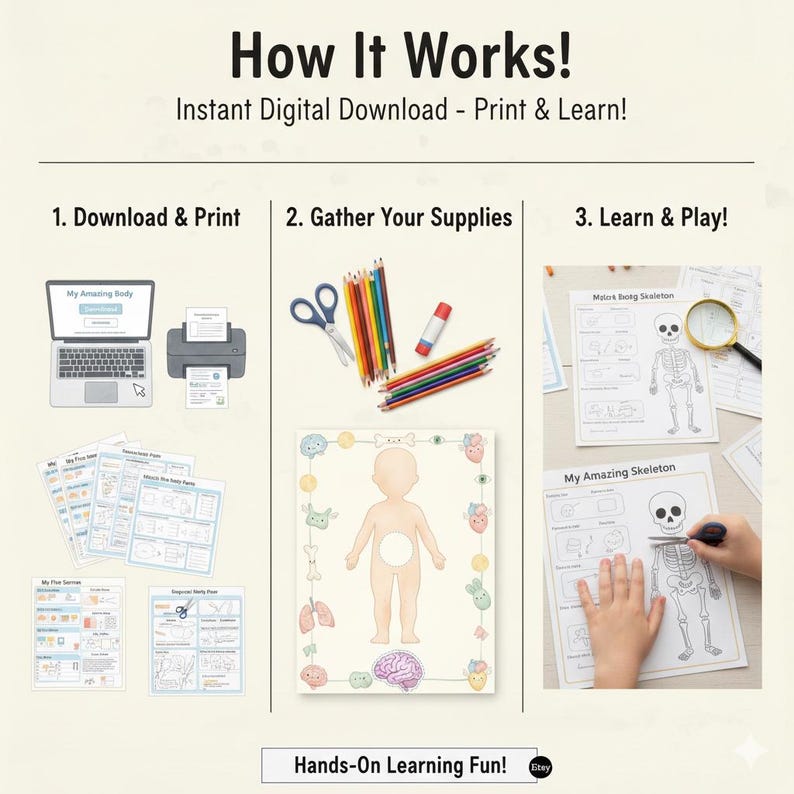 Human Body Systems Activity, Anatomy Busy Book Page, Preschool ...