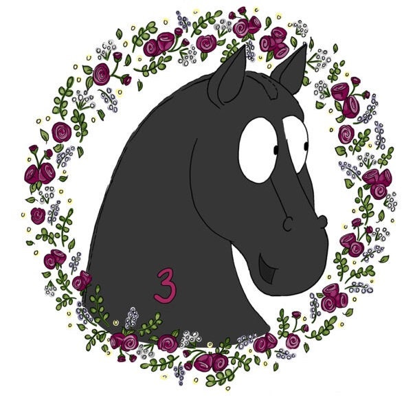 Personalised Horse Illustrations by Emily Cole - Etsy