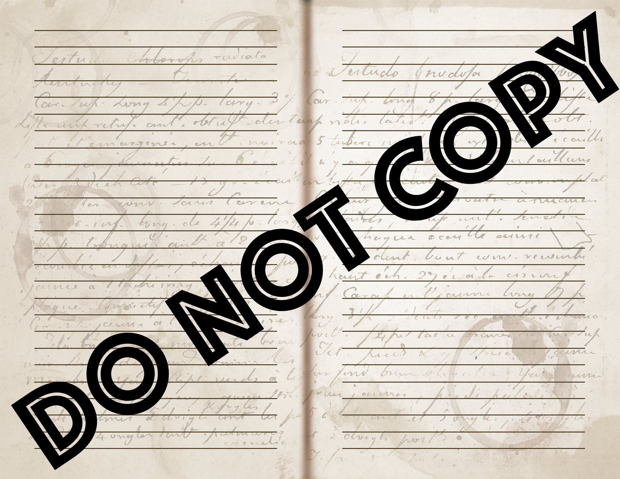 Blank/lined Journal Pages, Junk Journal Basic Papers, Printable Shabby ...