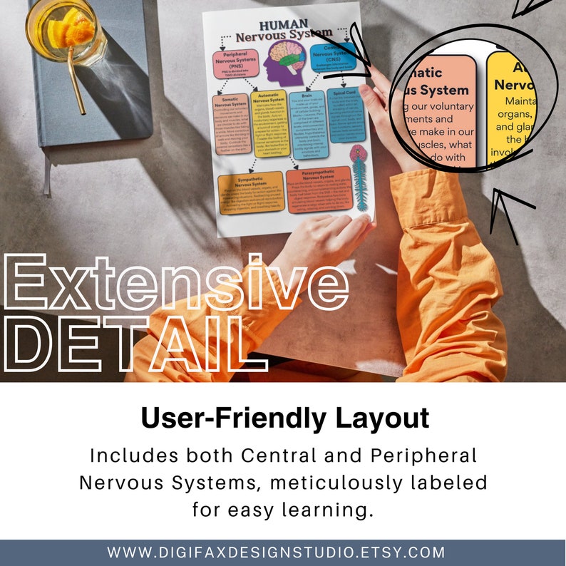 Nervous System Printable Poster Educational Art Medical Psychology ...