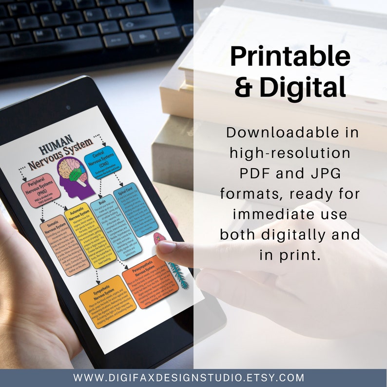 Nervous System Printable Poster Educational Art Medical Psychology ...