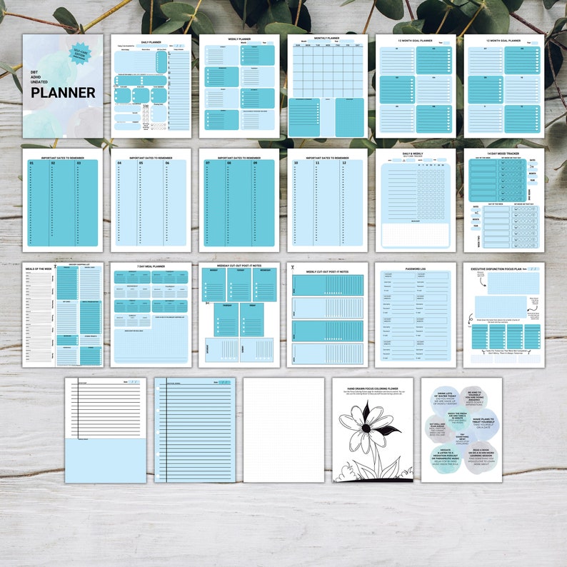 DBT ADHD Daily Planner Executive Functioning Worksheets ADHD - Etsy