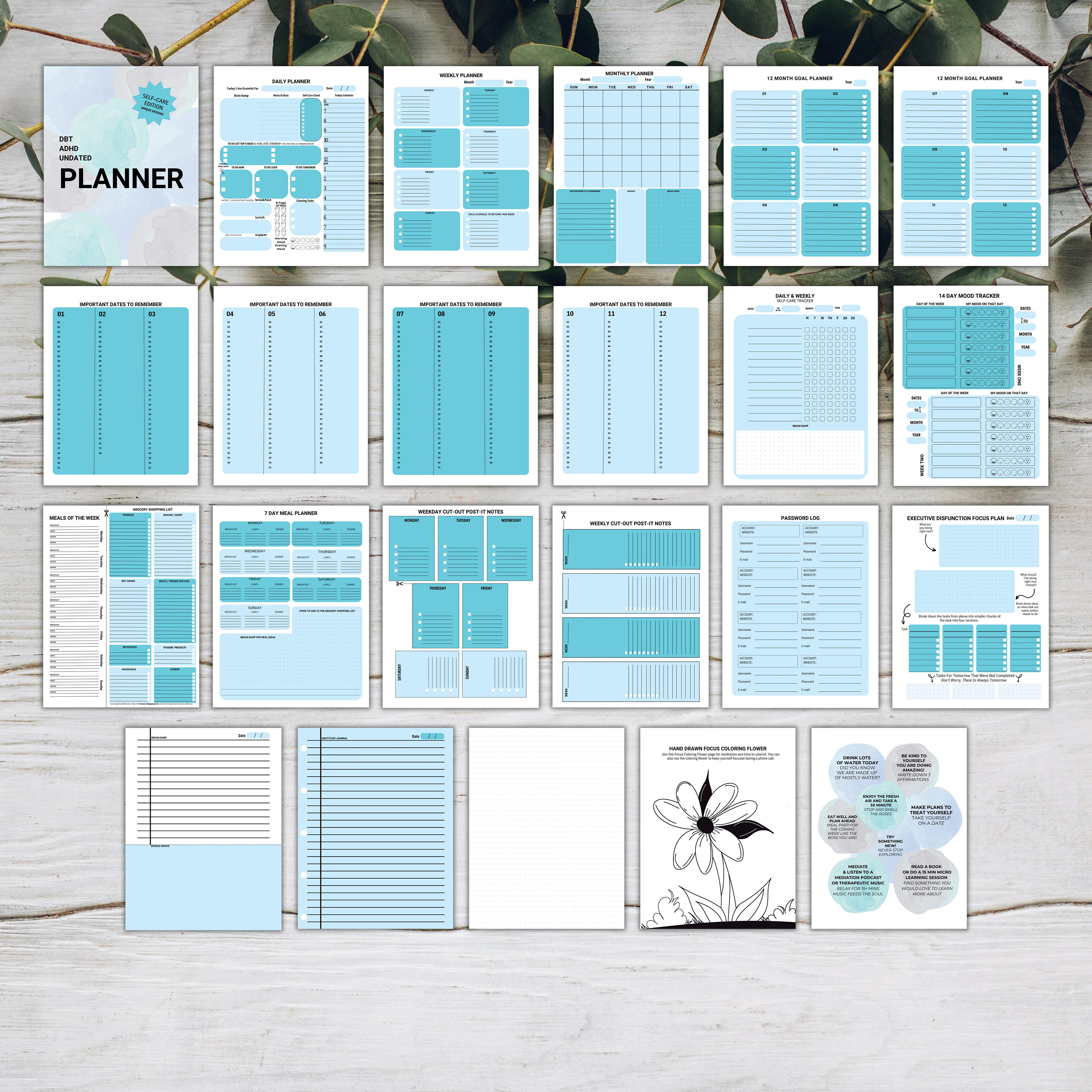 DBT ADHD Daily Planner Executive Functioning Worksheets ADHD - Etsy