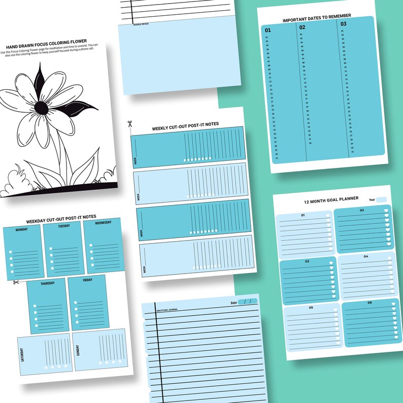 DBT ADHD Daily Planner Executive Functioning Worksheets ADHD - Etsy