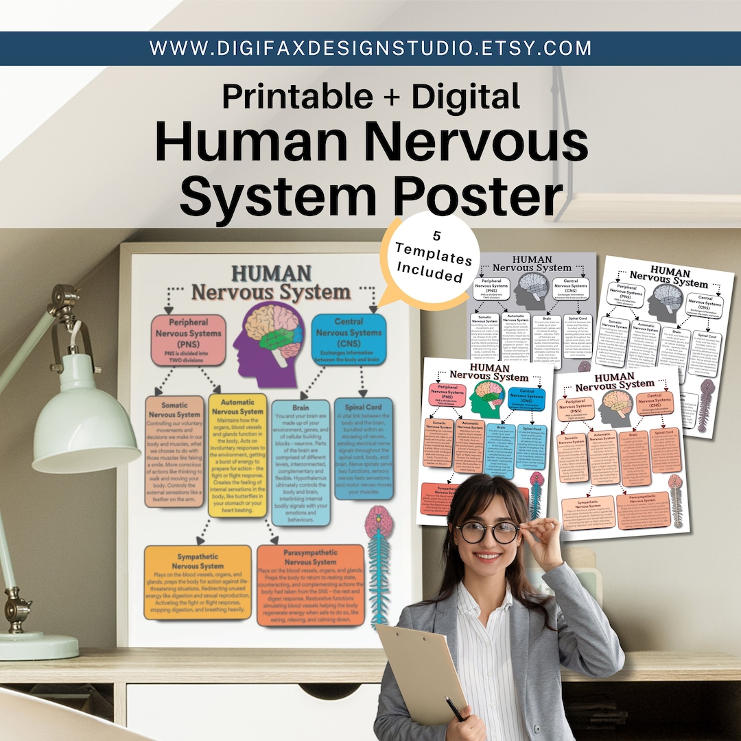 Nervous System Printable Poster Educational Art Medical Psychology ...
