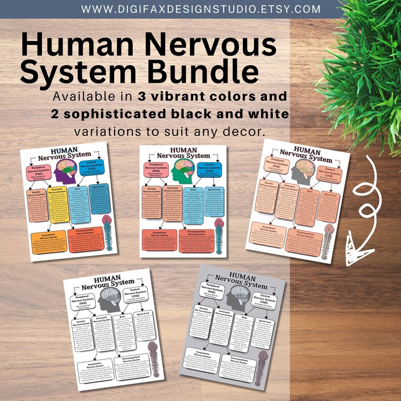 Nervous System Printable Poster Educational Art Medical Psychology ...