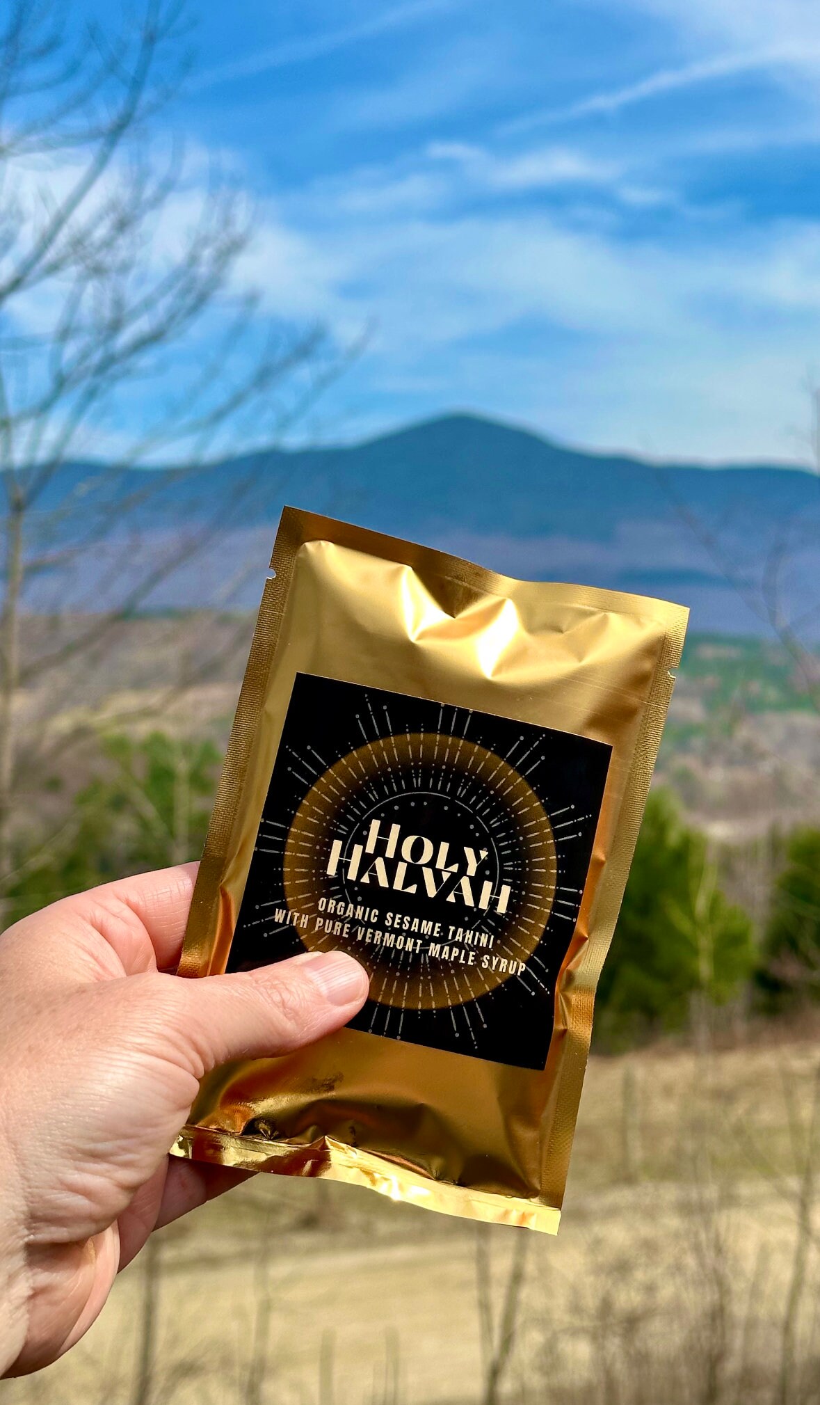 6 Pack Holy Halvah Bars - Etsy