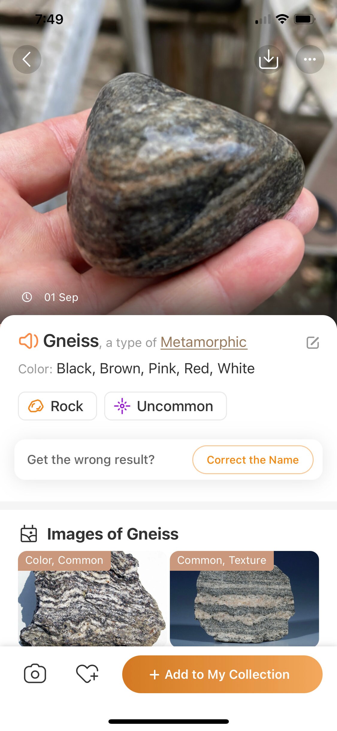 Gorgeous Gneiss Stone Great Pattern Located Tonight Wyoming - Etsy