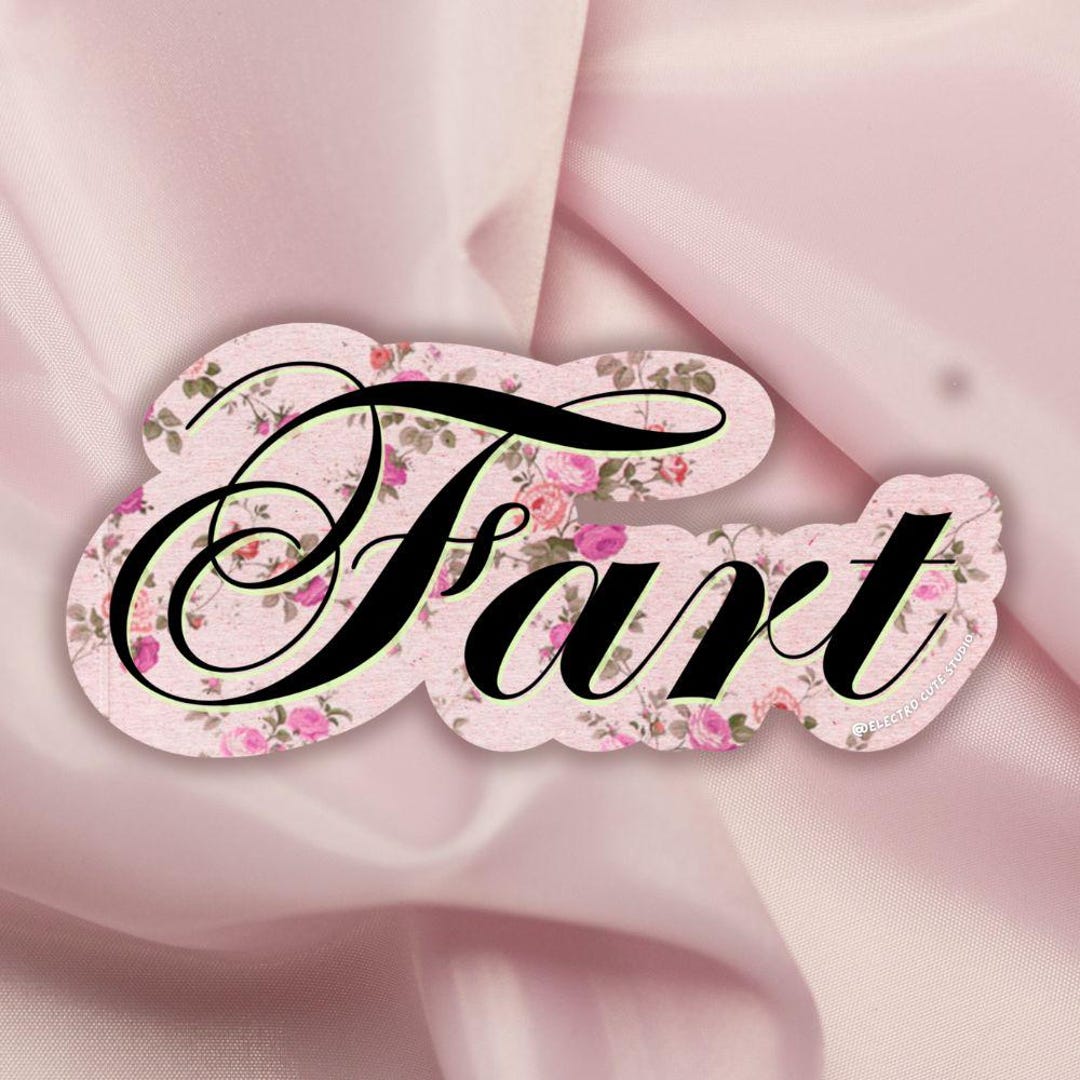 PRETTY FART STICKER - Crude Coquette Sticker - Vinyl Sticker - Sassy ...