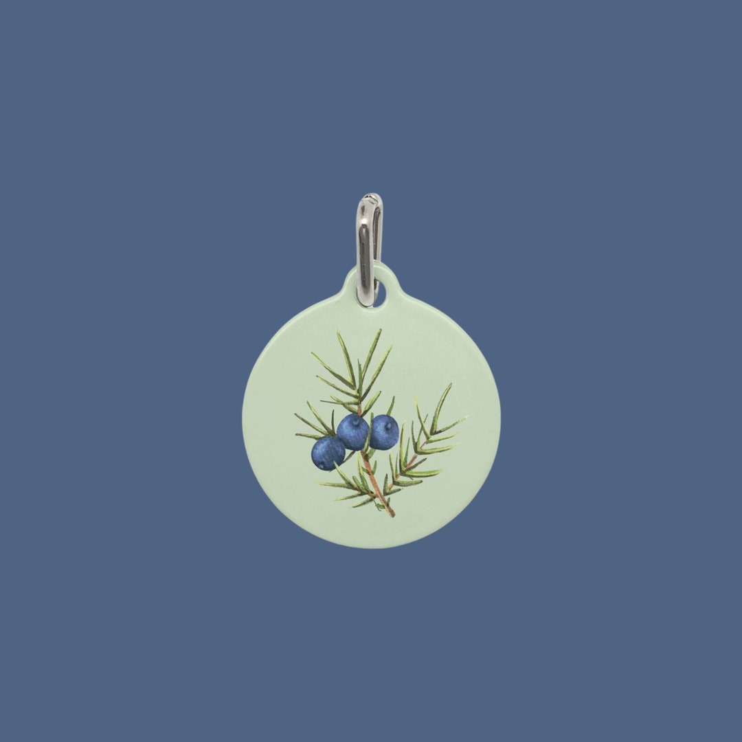 Juniper Pet ID Tag: Metal Dog/cat Tag With Ring - Etsy
