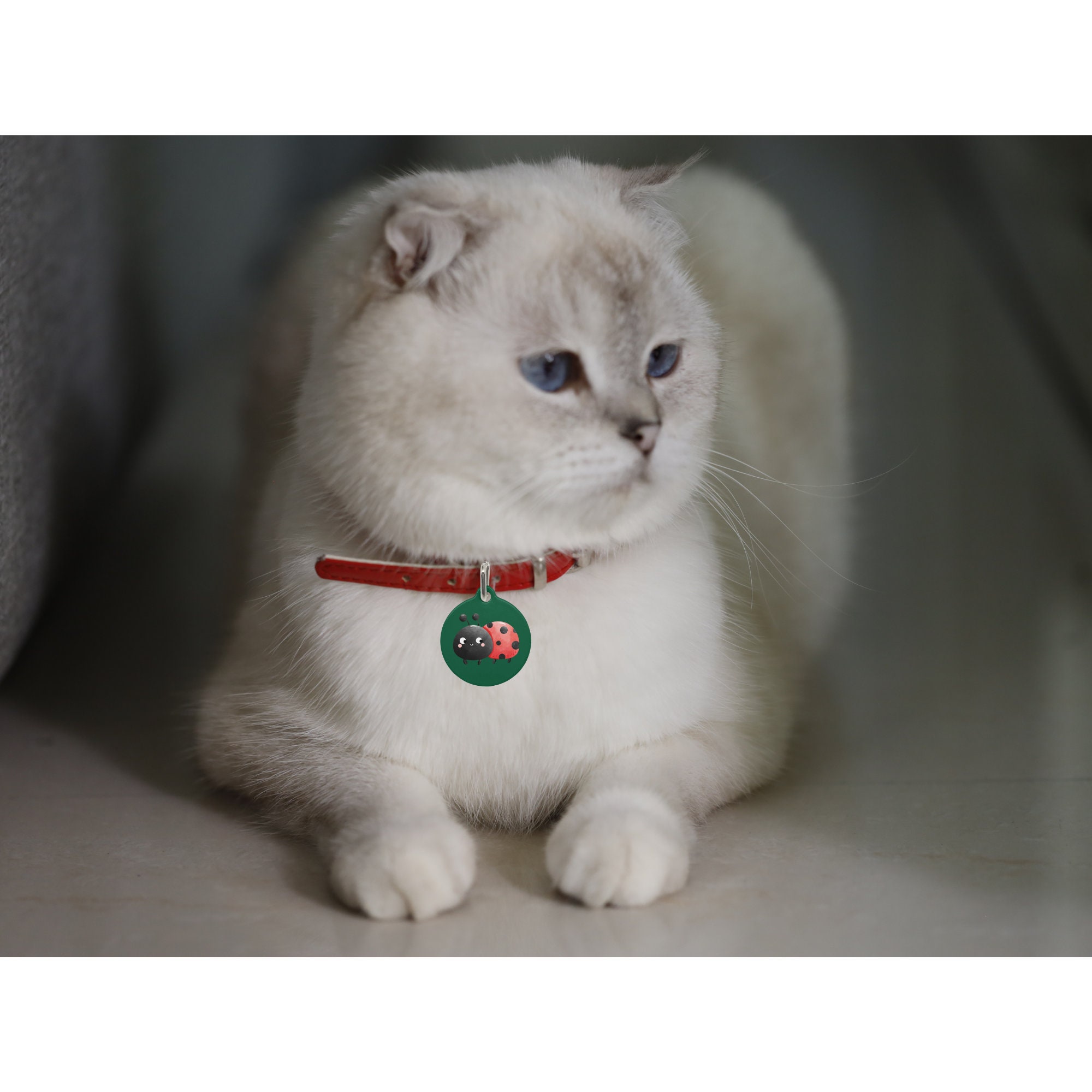 Metal Pet ID Tag for Collar, Ladybug, Dog Id Tag, Cat ID Tag, Ladybug ...