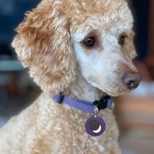 Oreo Dog Tag, Cookie, Oreo Dog Id Tag, Cookies, Cookie Dog Tag, Metal ...