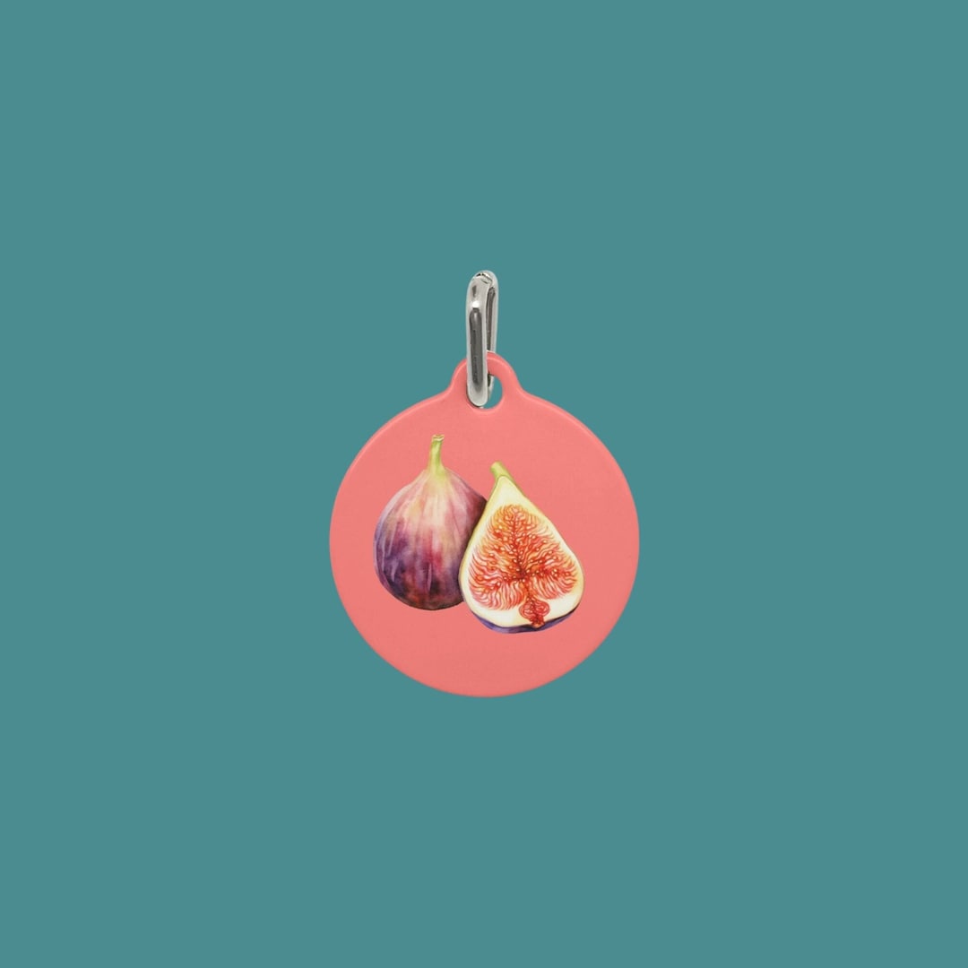 Fig Dog ID Tag, Fig Cat ID Tag, Fig Pet Id Tag, Figs, Fig, Dog Lover's ...