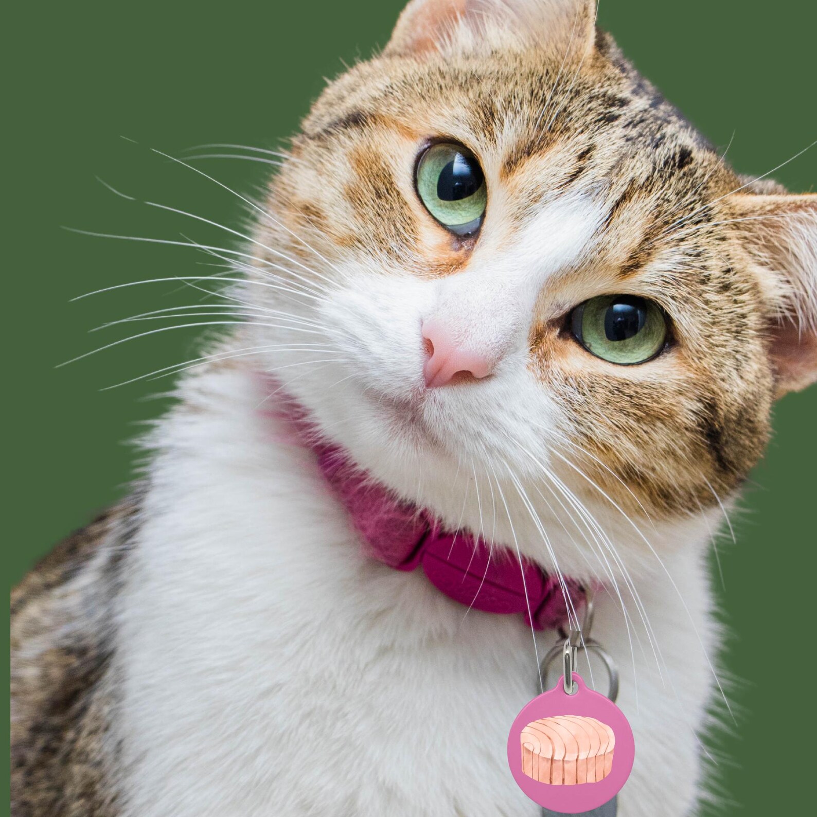 Dandelion Pet ID Tag: Personalized Dog & Cat Collar Accessory - Etsy