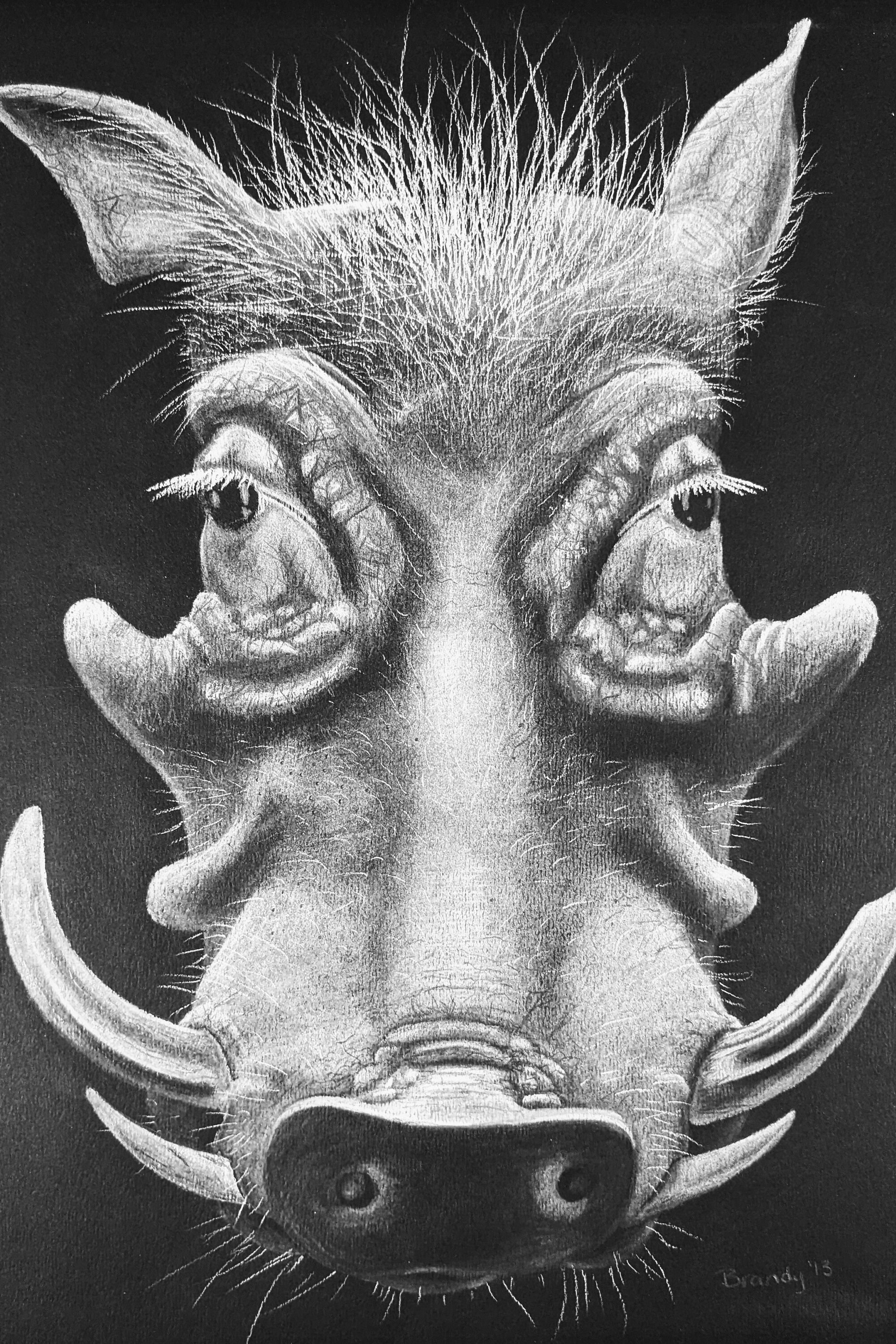 Warthog Print - Etsy