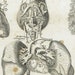 1828 Anatomical Print Antique Human Body Wall Art Anatomy Artwork ...