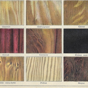 1922 BOIS. Original Wood Type Print. Vintage Lithograph Print ...