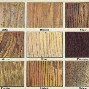 1922 BOIS. Original Wood Type Print. Vintage Lithograph Print ...