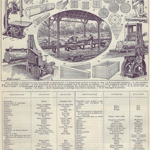 1922 BOIS. Original Wood Type Print. Vintage Lithograph Print ...