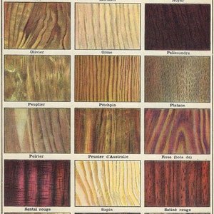 1922 BOIS. Original Wood Type Print. Vintage Lithograph Print ...