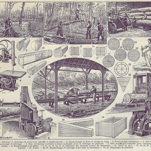 1922 BOIS. Original Wood Type Print. Vintage Lithograph Print ...