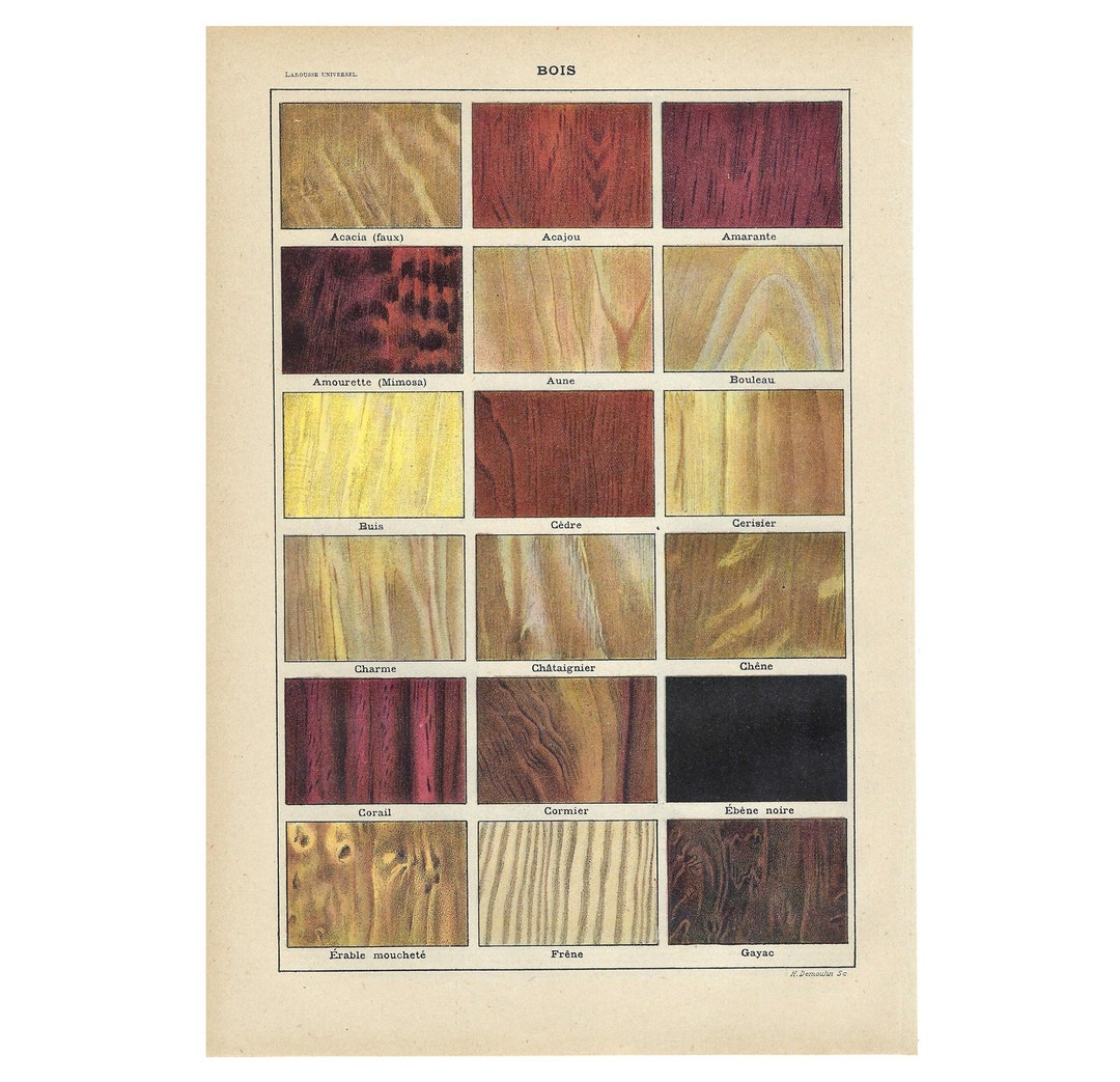 1922 BOIS. Original Wood Type Print. Vintage Lithograph Print ...