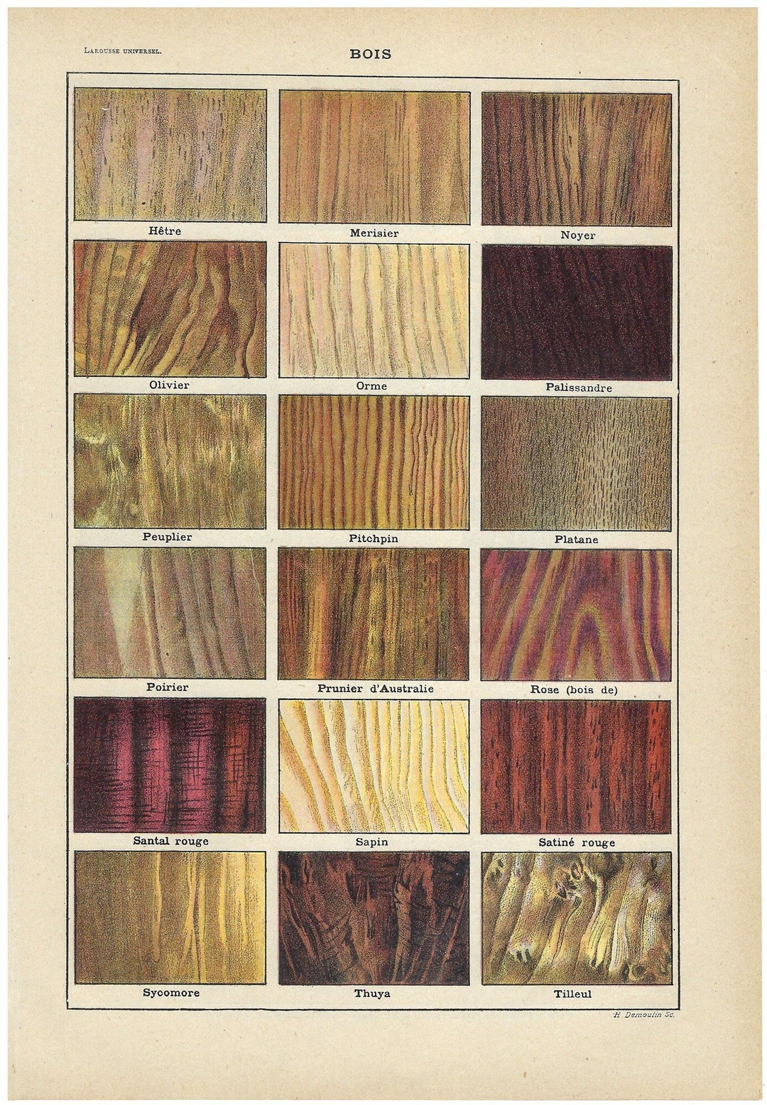 1922 BOIS. Original Wood Type Print. Vintage Lithograph Print ...