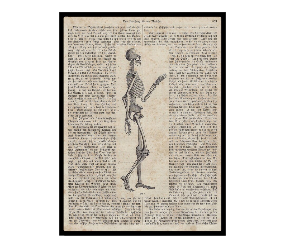 1860 Antique WALKING SKELETON Print Decorative Anatomy Print Human Body ...