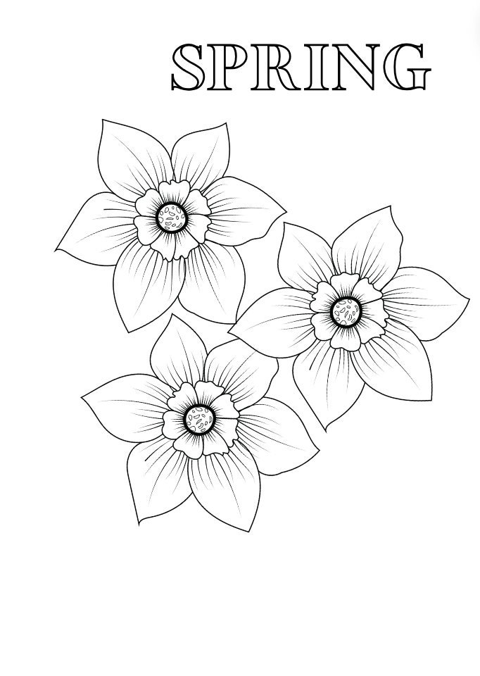 Spring Colouring Pages, Easter, Nature, Earth - Etsy
