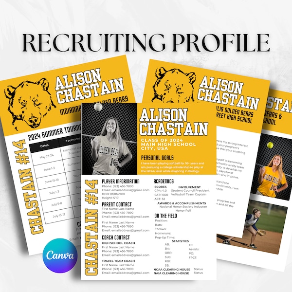 Softball Player Profile Template - Etsy
