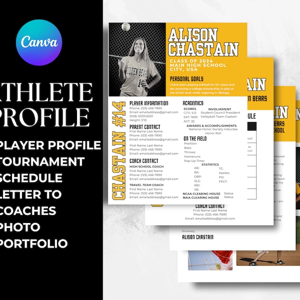 Softball Player Profile Template - Etsy