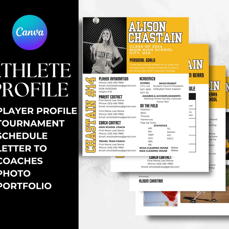 Softball Player Profile Template - Etsy