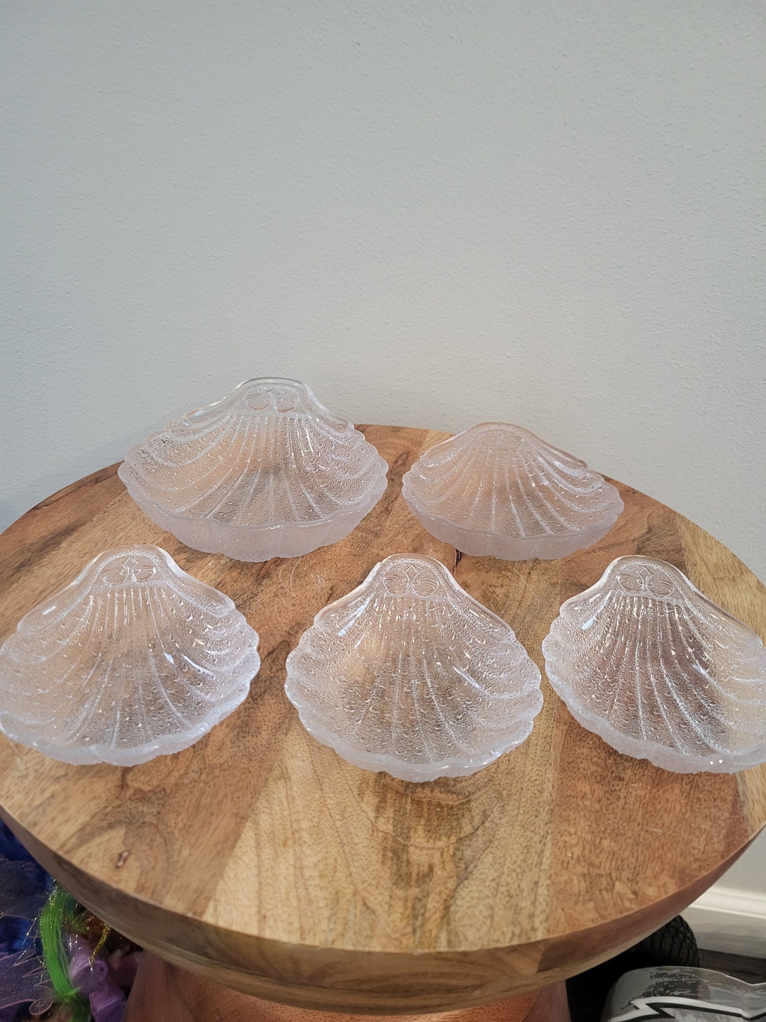 Clam Shell Glass Nut/trinket Dish Frosted Glass Textured X 5 - Etsy