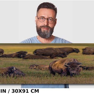 In the Footsteps of Giants: My Teton Bison Encounter" American Bison ...