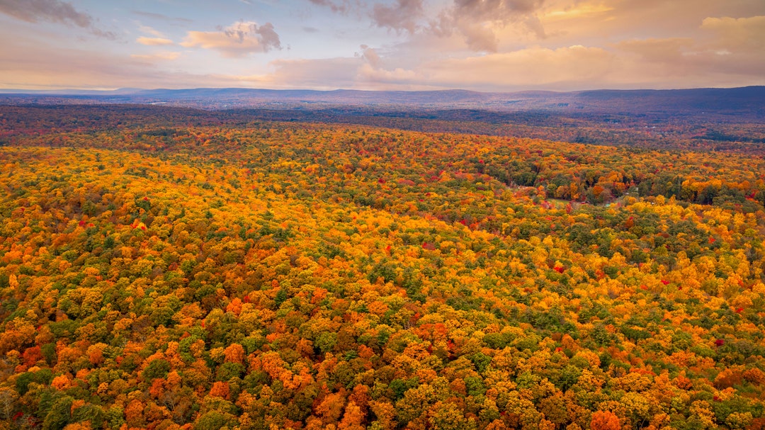 Vibrant Autumn Crisp Fall Colors, Pocono Mountains, Pennsylvania, Lakes ...