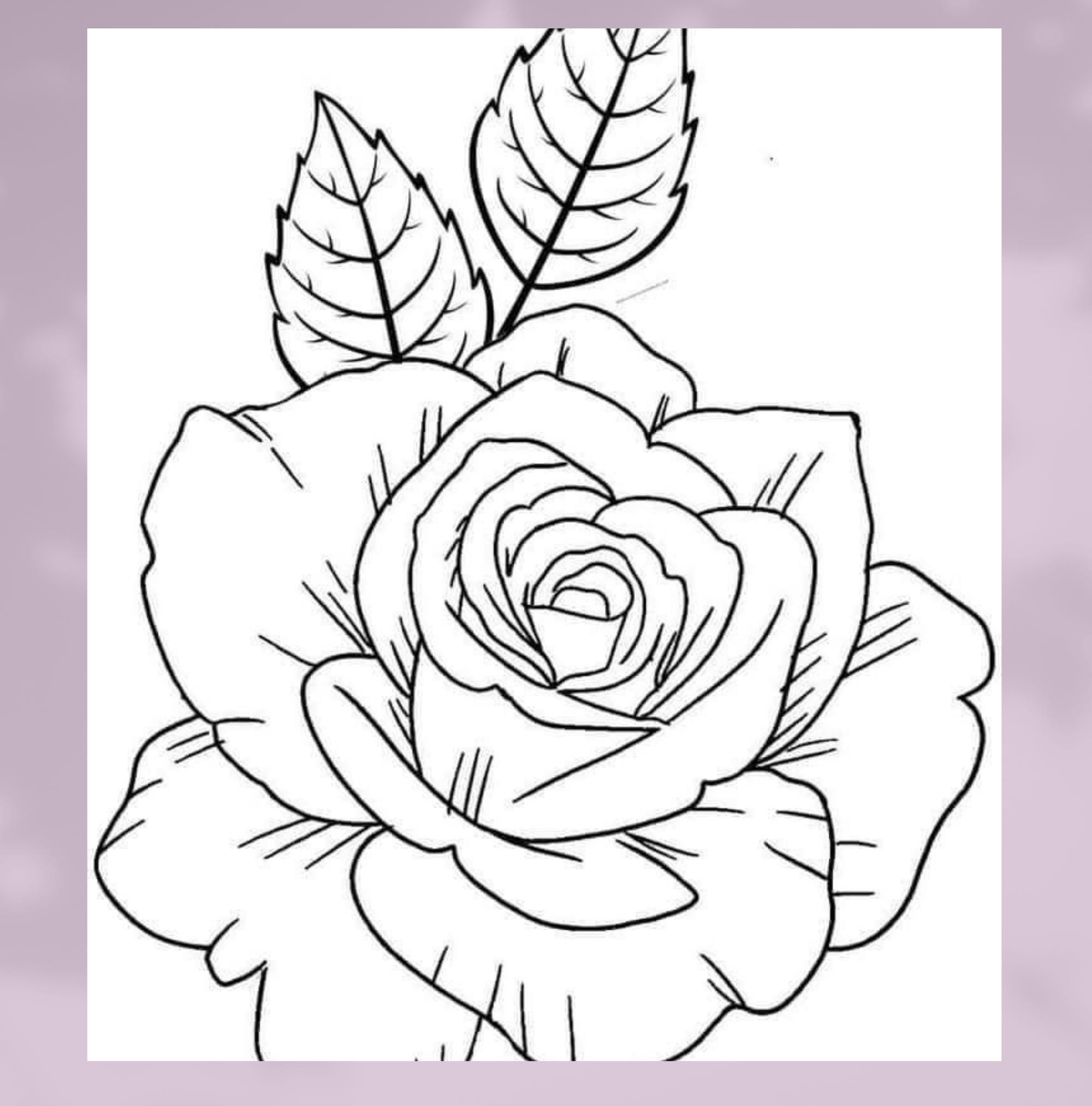 Flower Coloring Page for Adults and Kids Simple Rose Coloring Page ...